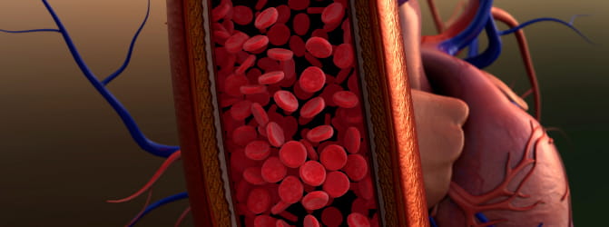 New guidelines say blood-thinning therapy should be longer for some ...