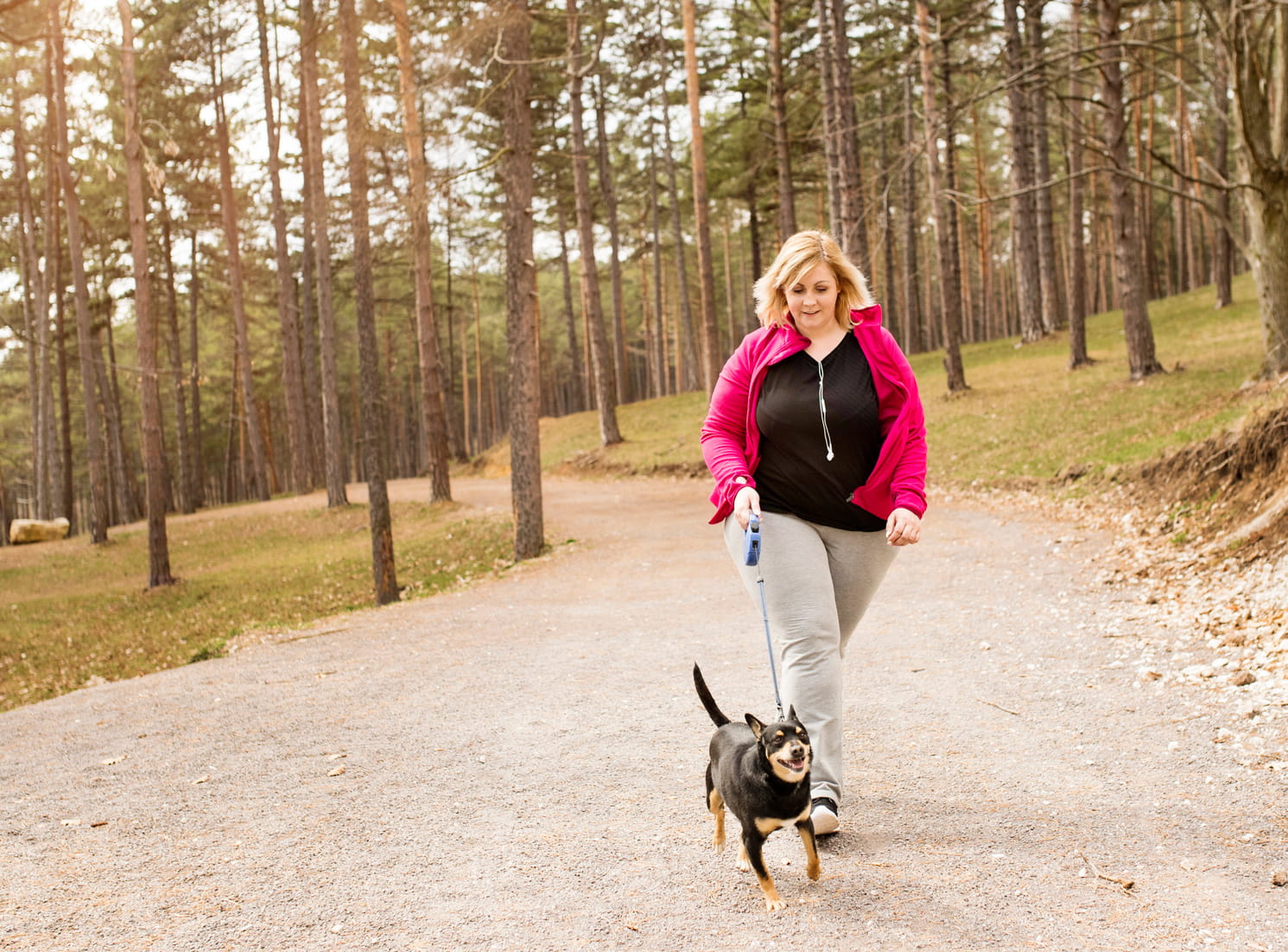What Are the Benefits of Keeping Your Pet at a Healthy Weight ...