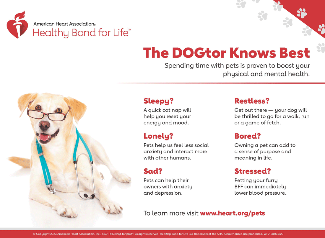 The DOGtor Knows Best Infographic | American Heart Association