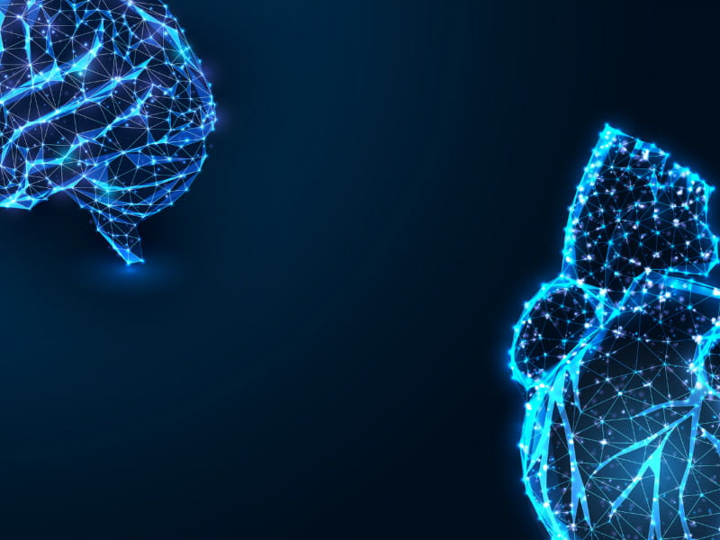 AHA names biggest advances in cardiovascular research for 2024 ...