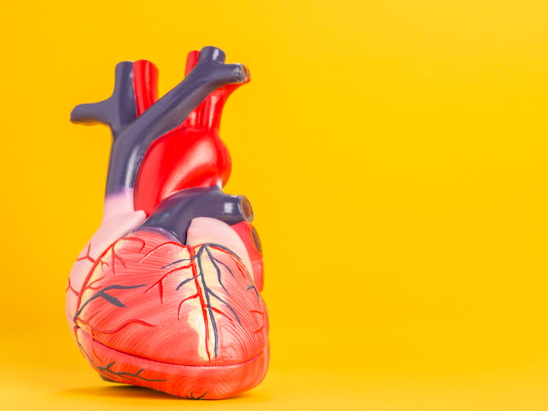 Expert heart advice for rare genetic muscle disorder | American Heart ...