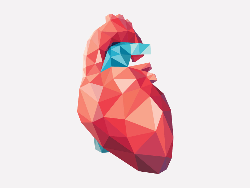 Heart fat captures researchers' attention | American Heart Association