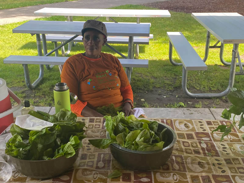 Farming takes root in Seattle-area food desert | American Heart Association