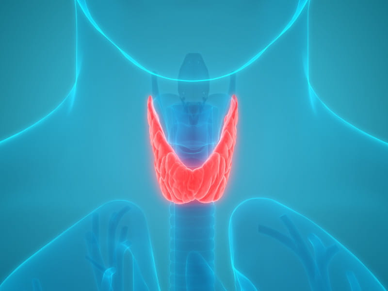 A healthy thyroid can be key to a healthy heart | American Heart ...