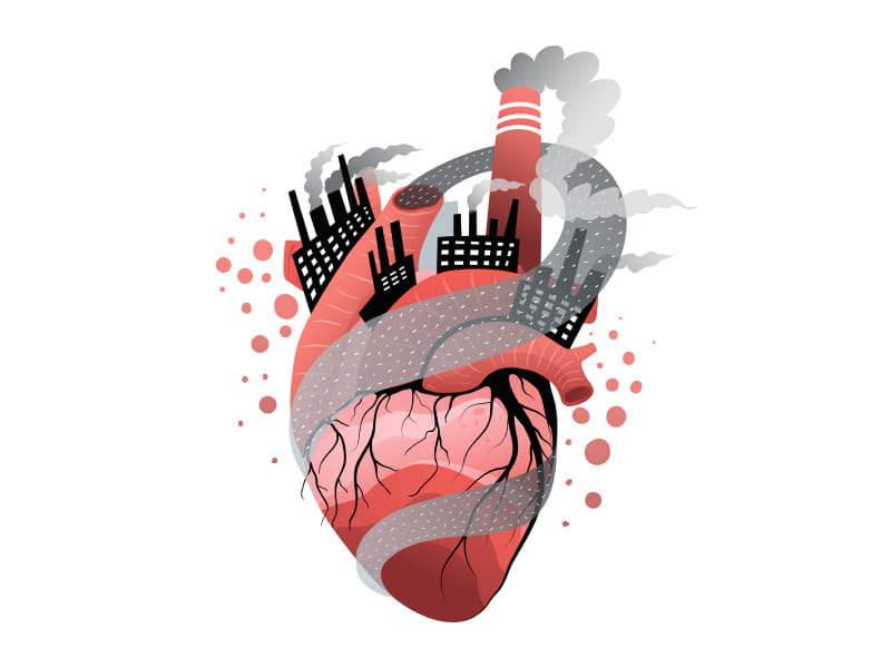 Breathing polluted air may trigger skipped heartbeats in otherwise ...
