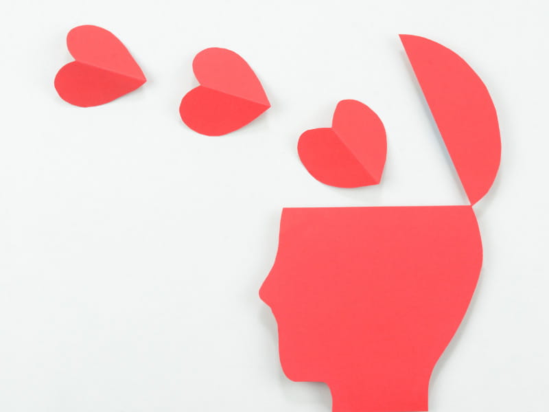 Dopamina No Cerebro Amor La Química Del Amor: Se Ama Con El Cerebro,