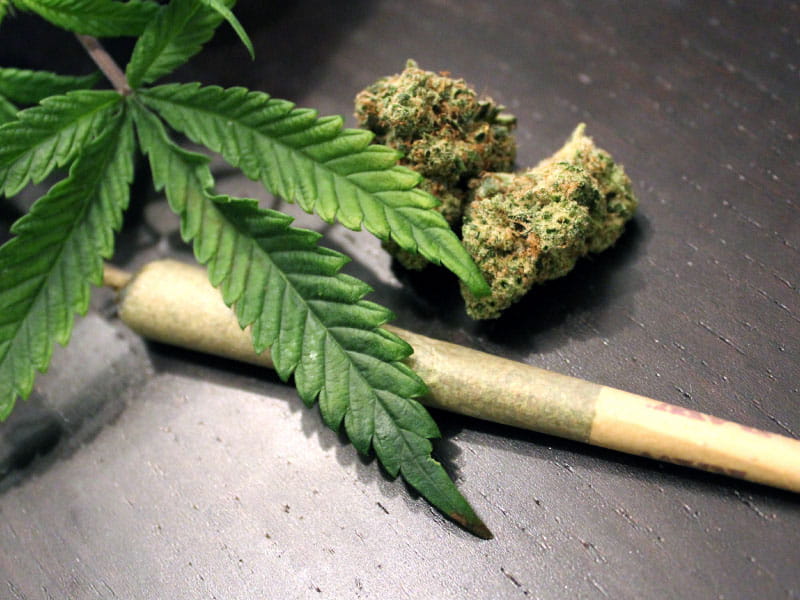 Marijuana use linked to higher risk of heart attack and stroke | American Heart Association