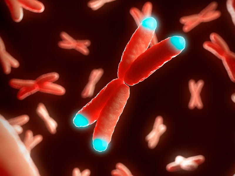 Shorter chromosome caps may predict stroke, dementia | American Heart ...