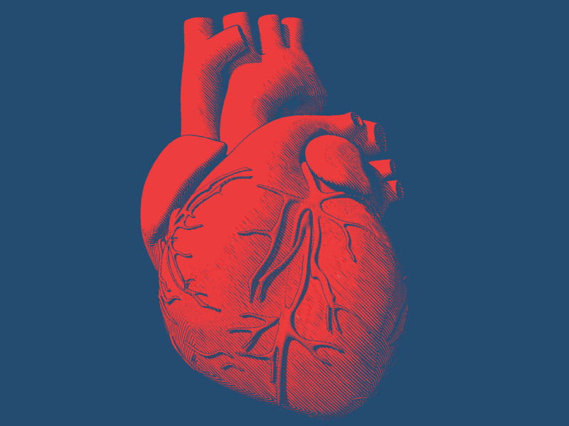 Why 'cough CPR' is not the lifesaver it's made out to be | American ...