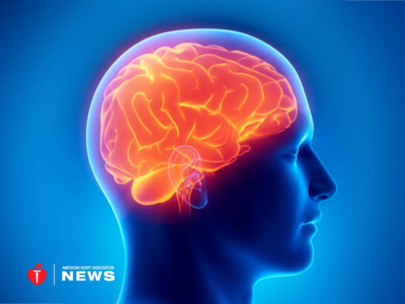 AHA, Paul Allen commit $43 million to improving brain health | American ...