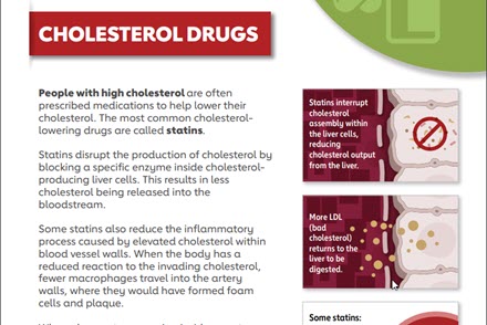 Cholesterol | American Heart Association