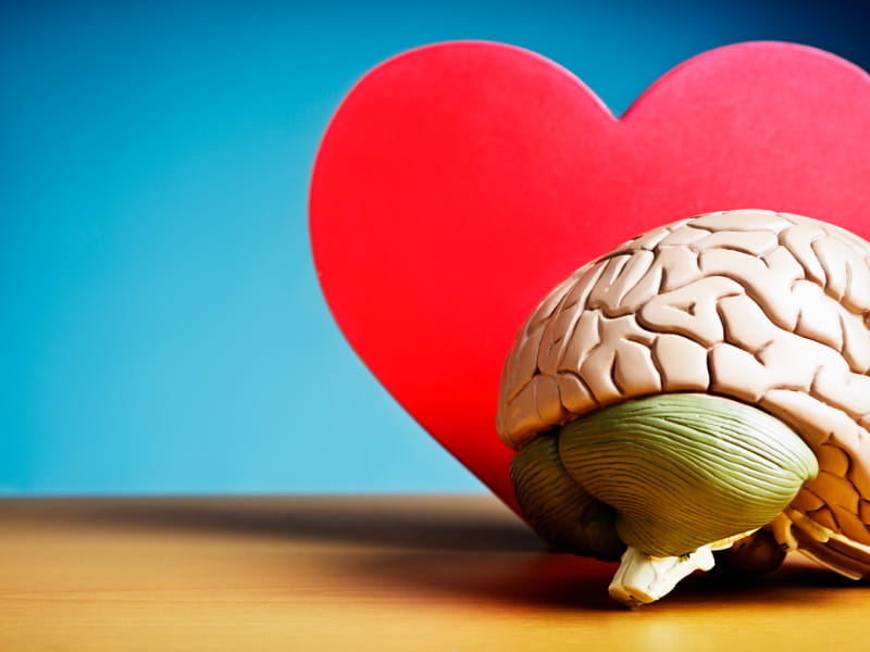 American Heart Association News brings you the latest information about ...