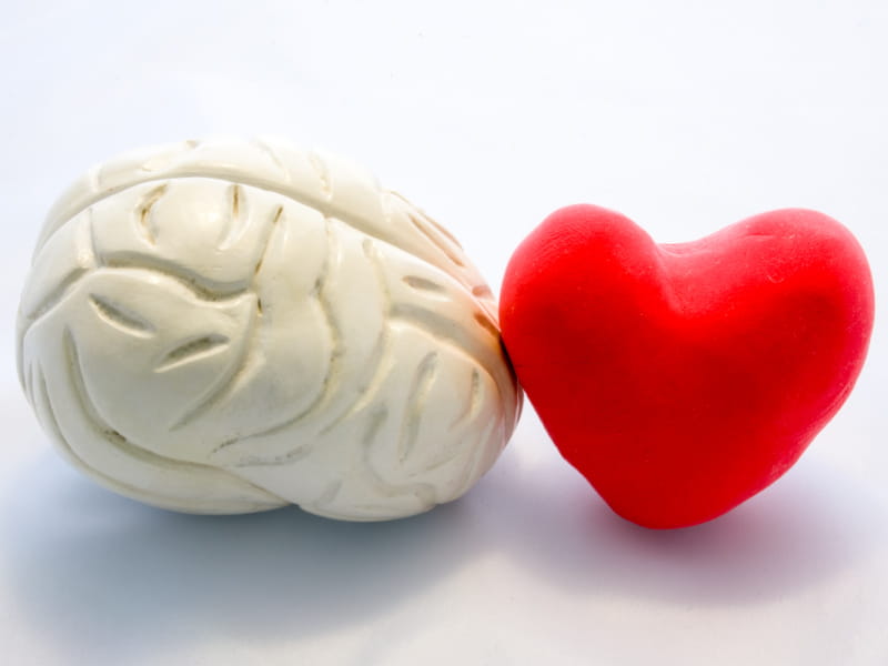 The head is connected to the heart – and can influence health ...