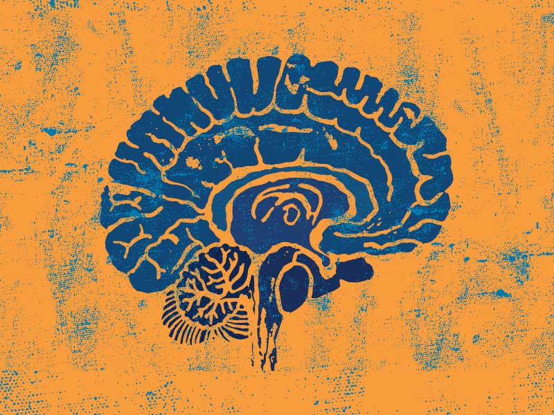 Research captures unfolding cardiovascular toll from meth use ...