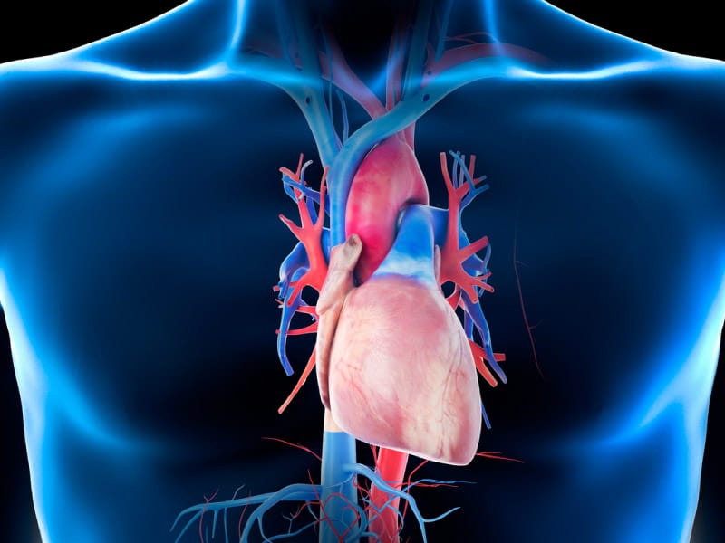 Active, healthy, pregnant … and in need of a new aortic valve ...