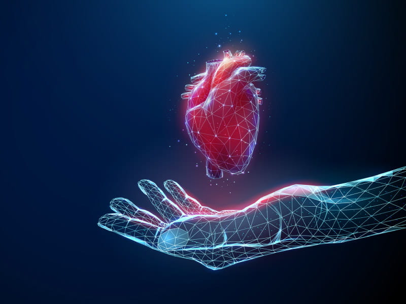 Digital heart twin offers potential new tool for treating dangerous ...